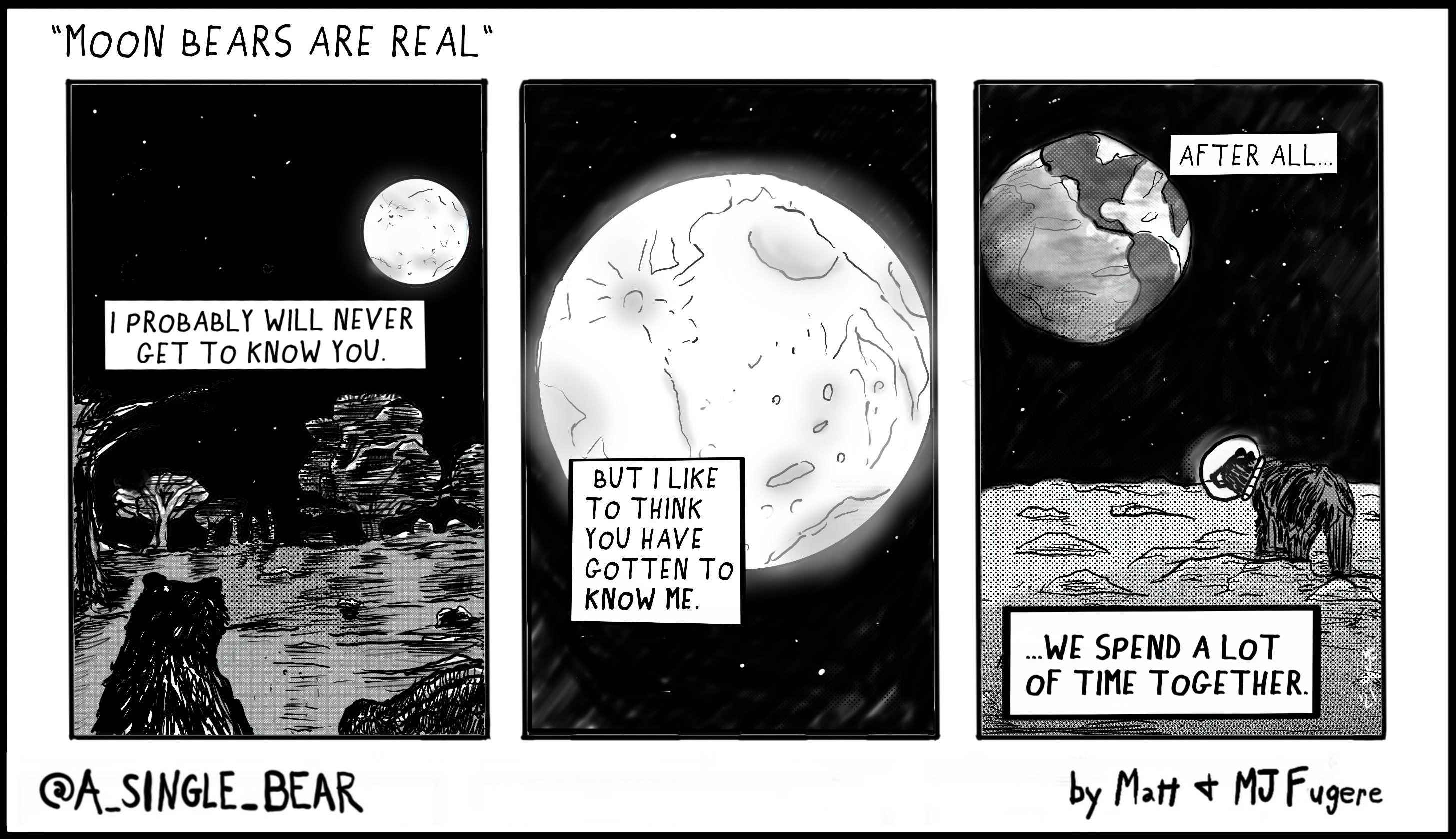 Moon Bears are Real | Hello, I am a bear